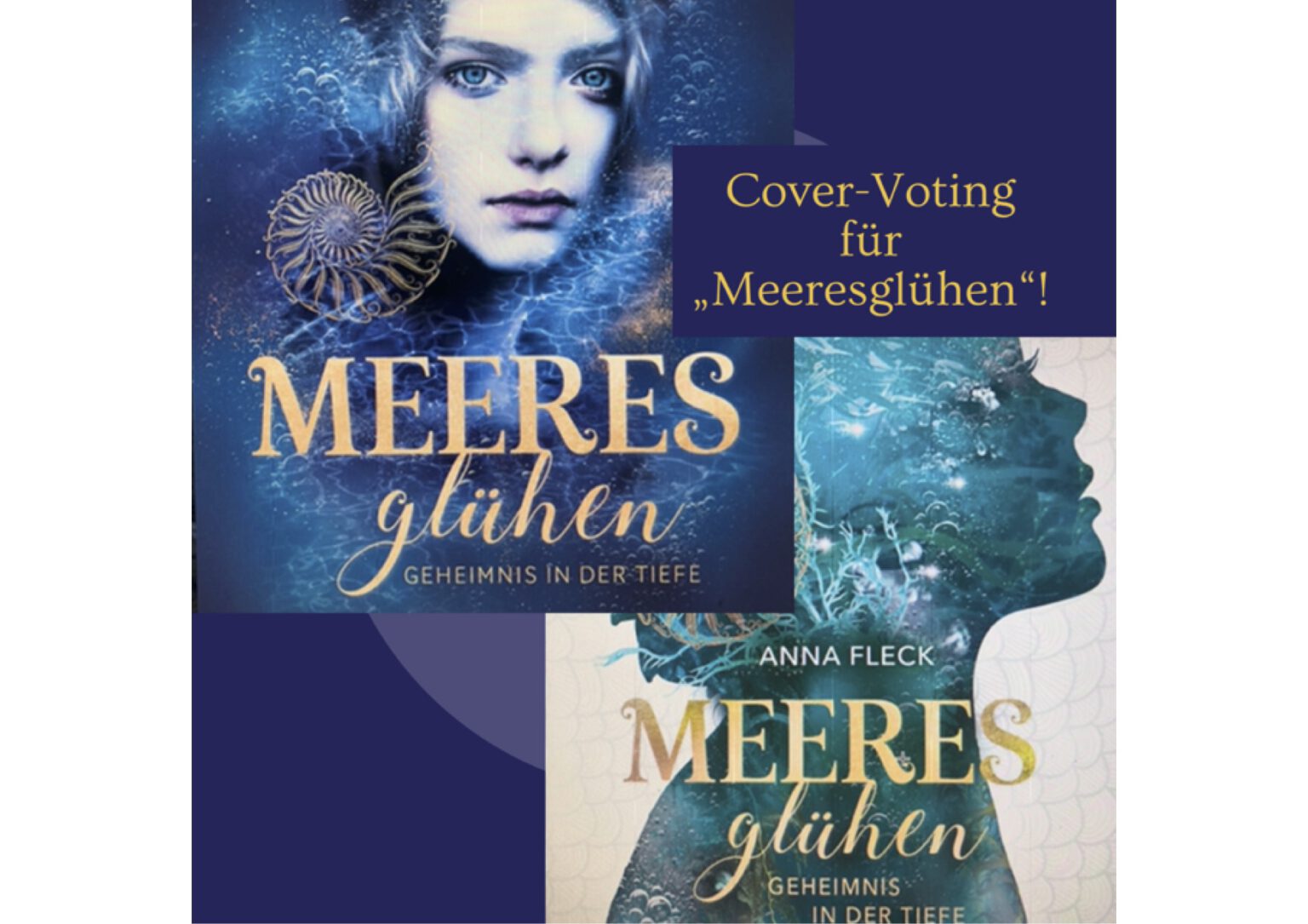 Cover-Voting: And the winner is...! - Anna Fleck